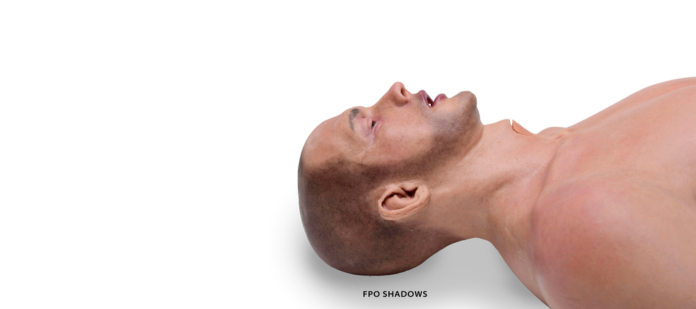 Simulation | Safeguard Medical